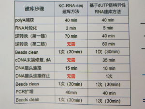 KCTM Stranded mRNA-seq Library Prep Kit for Illumina® mRNA建库试剂盒 NR084-01