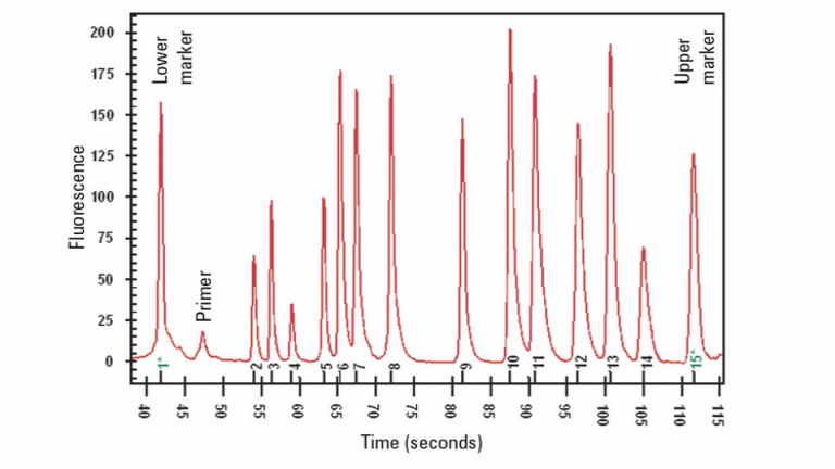 Aligent 5067-1505 DNA 1000 Reagents 生物分析 安捷伦 DNA 1000 试剂