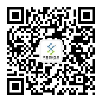 伯乐 Hard-Shell® 薄壁96孔全裙边PCR板 #HSP9655_华雅思创生物 自营店